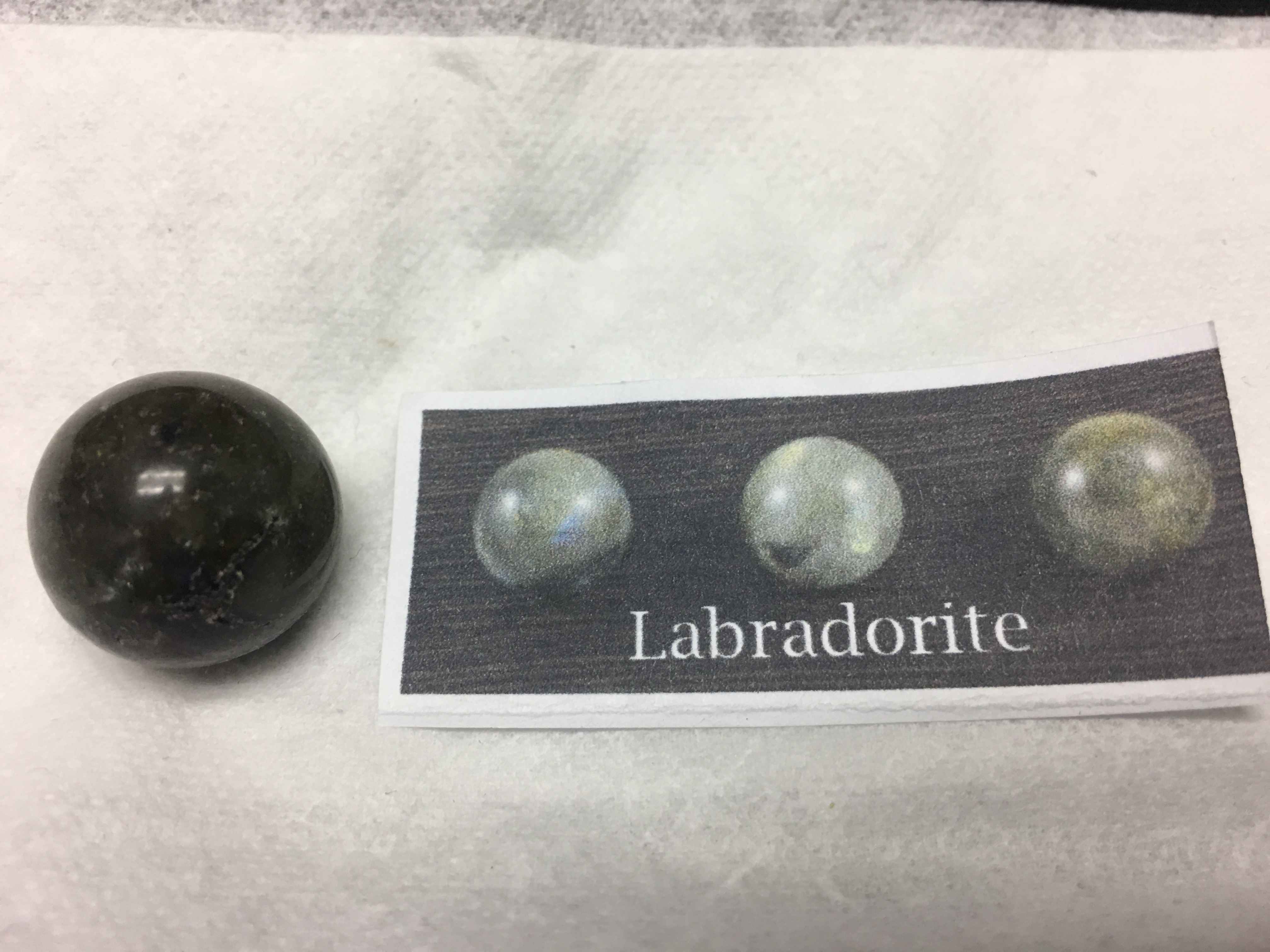 IMG_5464 – Midwest Marble Club