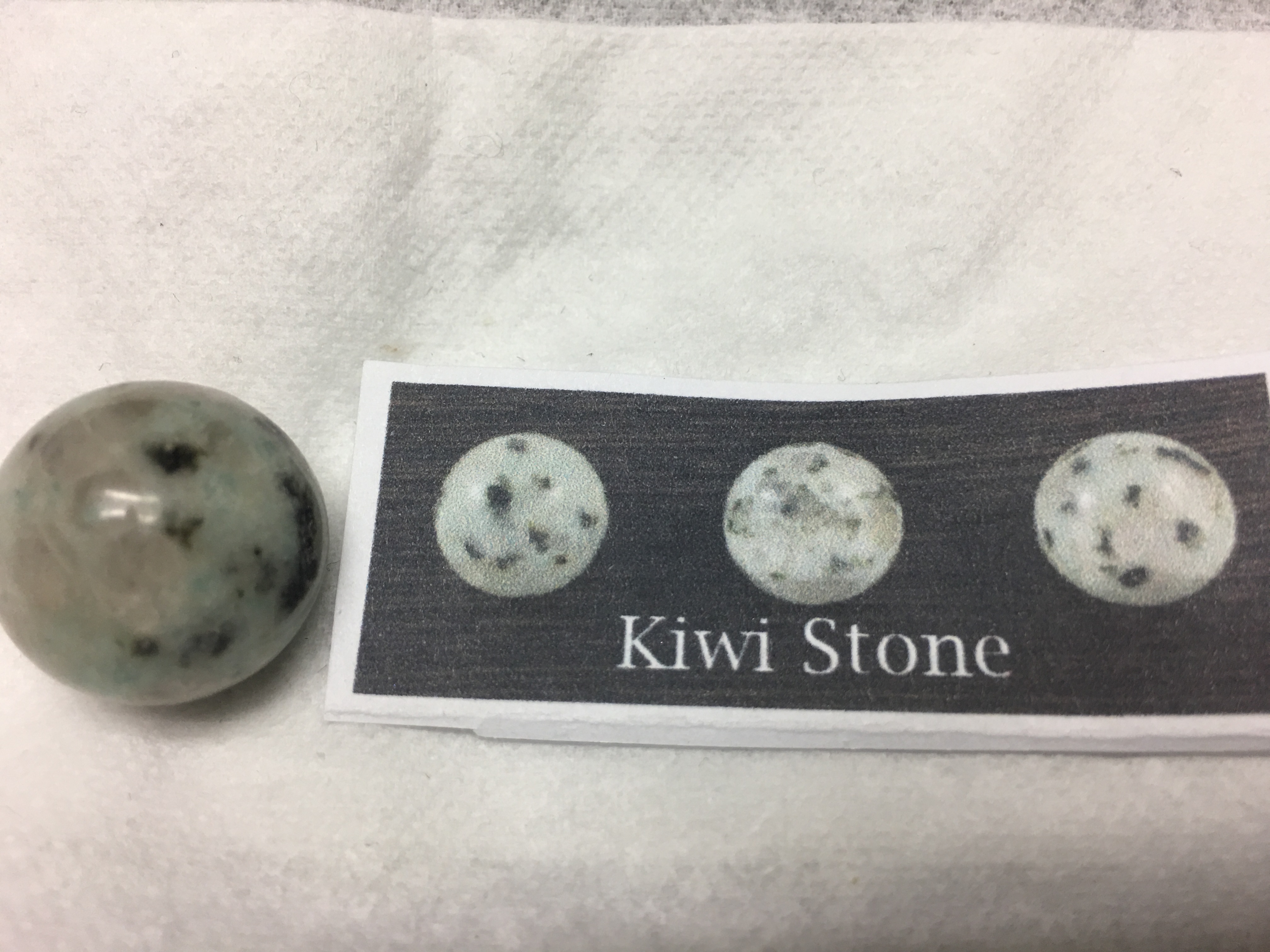 IMG_5466 – Midwest Marble Club